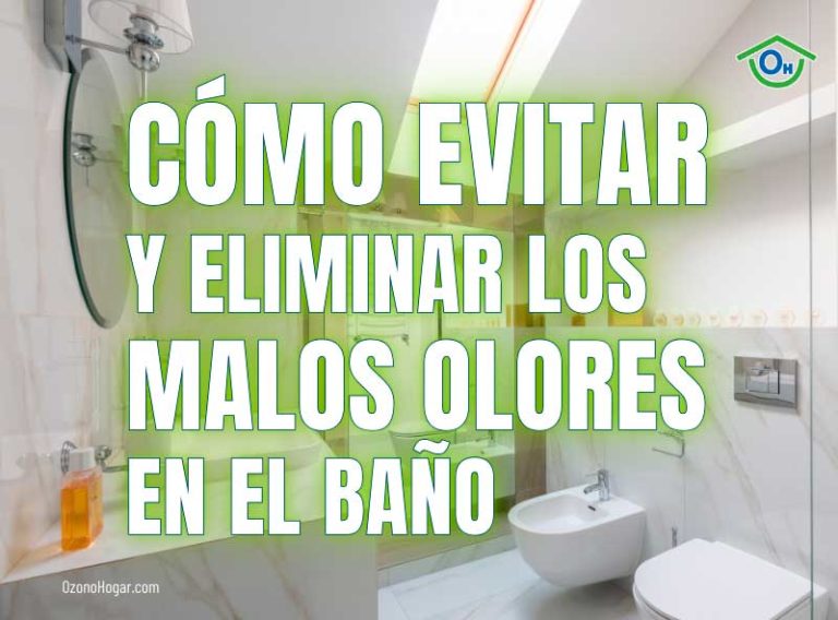 Cómo evitar y eliminar el mal olor del baño | Solución