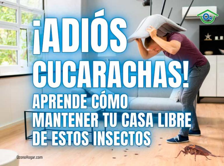 Cómo Eliminar Cucarachas en Casa | Guía Definitiva