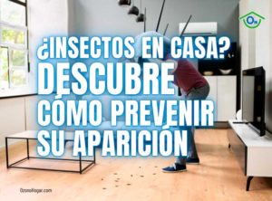 Mata Insectos en el hogar